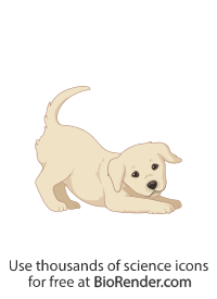 Free Puppy (playing) Icons, Symbols & Images | BioRender