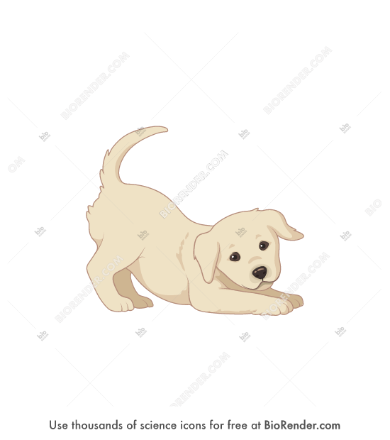 Free Puppy (playing) Icons, Symbols & Images | BioRender
