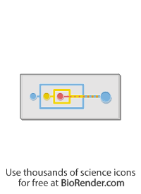 Free Microfluidic device (top view, double emulsion) Icons, Symbols ...