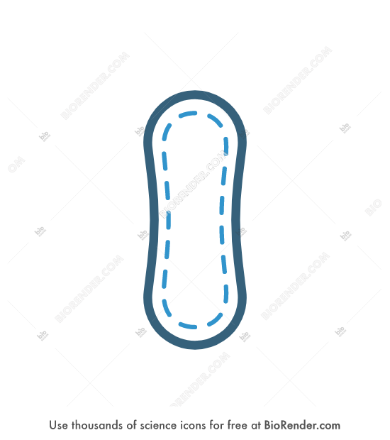 Free Menstrual pad (symbol) Icons, Symbols & Images | BioRender