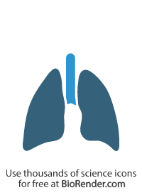Free Lungs (symbol) Icons, Symbols & Images | BioRender