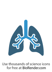 Free Lungs (symbol, with bronchioles) Icons, Symbols & Images | BioRender