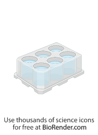Free Deep well plate (6-well, G-Rex, with liquid) Icons, Symbols ...