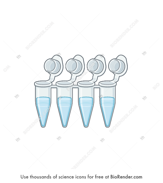 Free PCR tube strip (4-strip, full liquid) Icons, Symbols & Images | BioRender