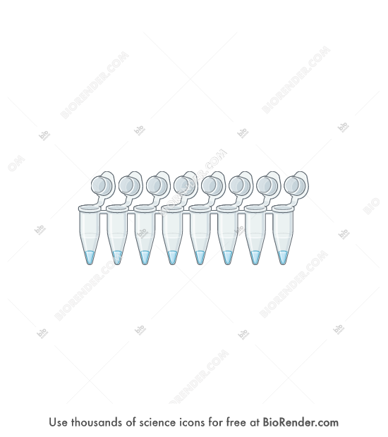 Free PCR tube strip (8-strip, low liquid) Icons, Symbols & Images ...