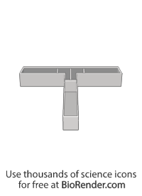 Free T-maze (3D) Icons, Symbols & Images | BioRender