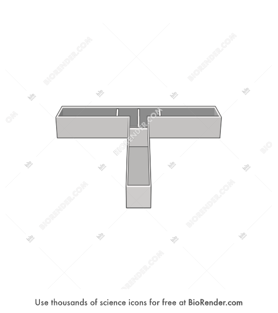 Free T-maze (3D) Icons, Symbols & Images | BioRender