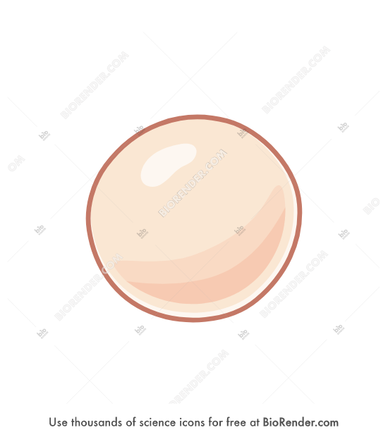 Free Skin blister Icons, Symbols & Images | BioRender