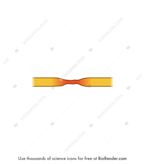 Free Nerve damage (stretched) Icons, Symbols & Images | BioRender