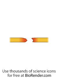 Free Nerve damage (ruptured) Icons, Symbols & Images | BioRender