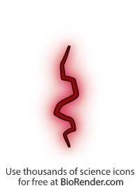 Free Fracture line (irregular) Icons, Symbols & Images | BioRender