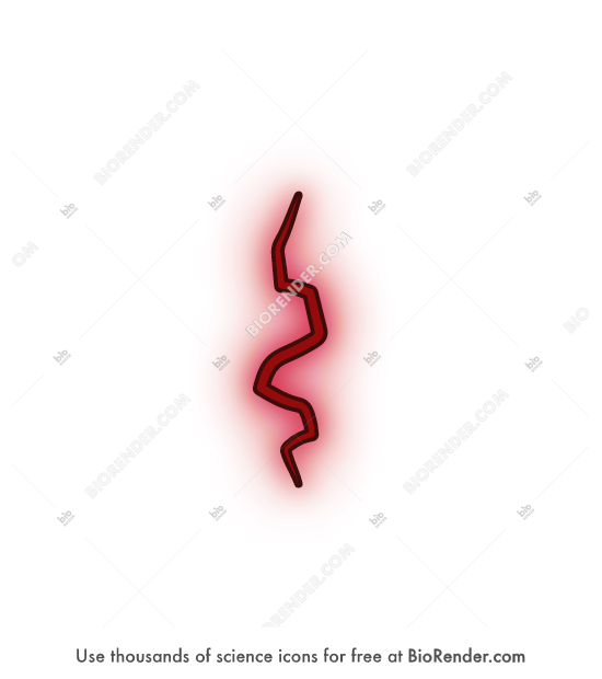 Free Fracture line (irregular) Icons, Symbols & Images | BioRender