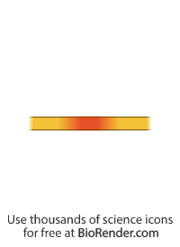 Free Nerve damage (ruptured) Icons, Symbols & Images | BioRender