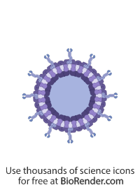 Free Rotavirus (base) Icons, Symbols & Images | BioRender