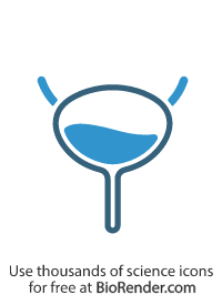 Free Bladder (female, symbol) Icons, Symbols & Images | BioRender