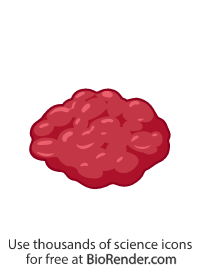 Free Blood clot (embolus) Icons, Symbols & Images | BioRender