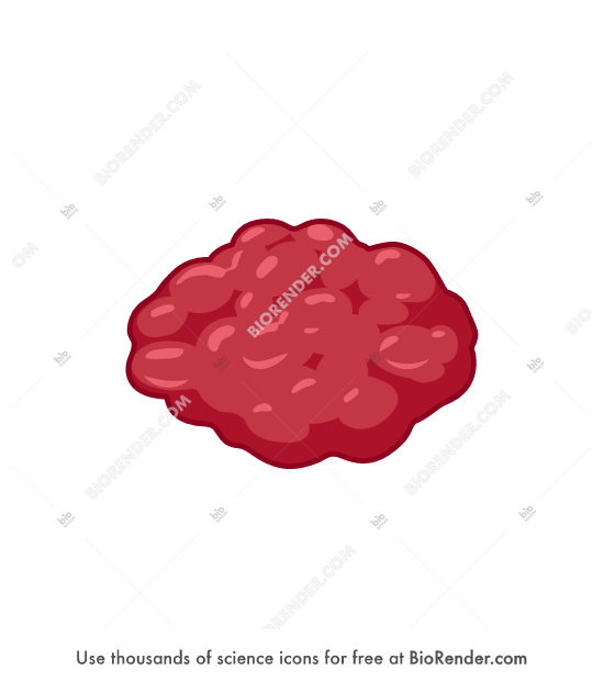 Free Blood clot (embolus) Icons, Symbols & Images | BioRender