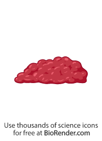 Free Blood clot (thrombus) Icons, Symbols & Images | BioRender