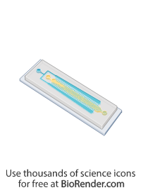 Free Hydrogel (stiff) Icons, Symbols & Images | BioRender