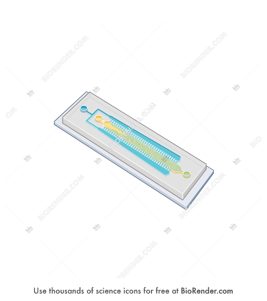Free Microfluidic device (step emulsification) Icons, Symbols & Images ...