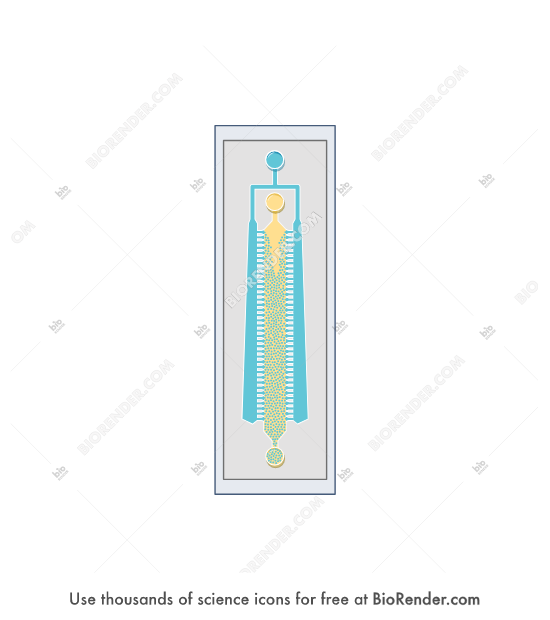 Free Microfluidic device (step emulsification, top) Icons, Symbols ...