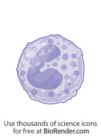 Free Basophil (3D) Icons, Symbols & Images | BioRender