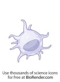 Free Dendritic cell (3D) Icons, Symbols & Images | BioRender
