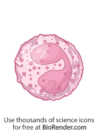 Free Platelet Icons, Symbols & Images | BioRender