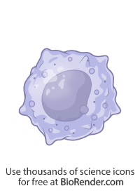 Free Cytotoxic T cell (with granules, attacking) Icons, Symbols ...