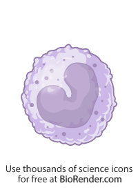 Free Monocyte (3D) Icons, Symbols & Images | BioRender
