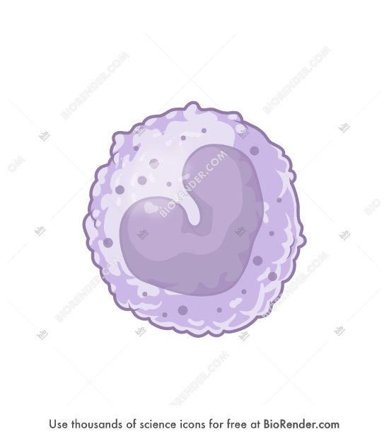 Free Monocyte (3D) Icons, Symbols & Images | BioRender