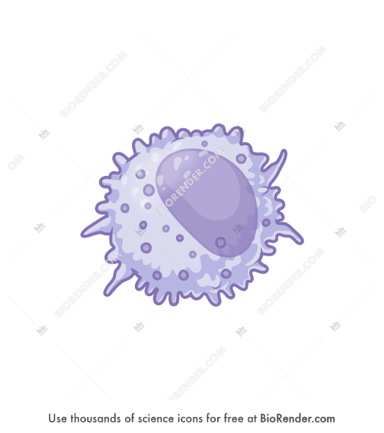 Free Natural killer cell (3D) Icons, Symbols & Images | BioRender