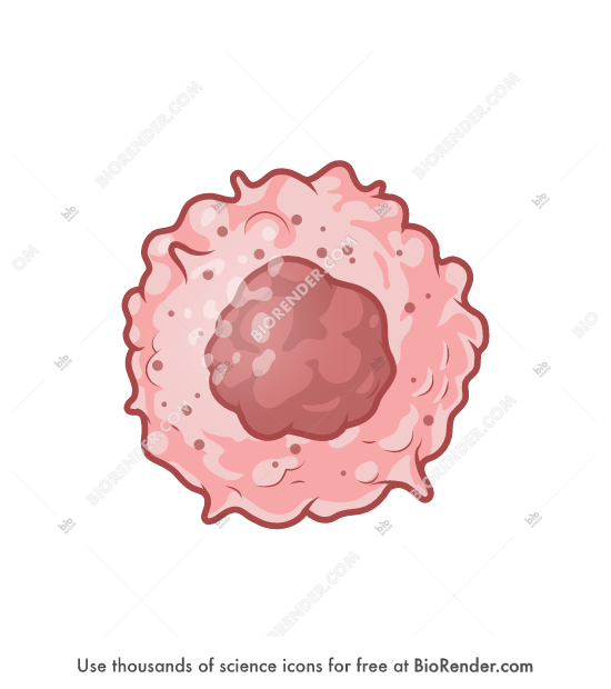 Free Cancer cell (3D) 2 Icons, Symbols & Images | BioRender