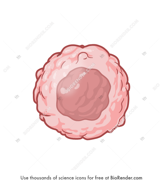 Free Cancer cell (3D) Icons, Symbols & Images | BioRender