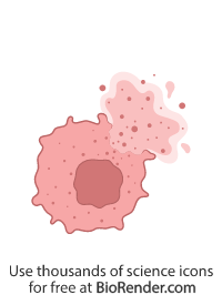 Free Cancer cell (bursting) Icons, Symbols & Images | BioRender