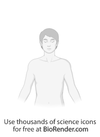 Free Gender-neutral upper body (anterior) Icons, Symbols & Images ...