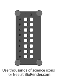 Free Well plate (4 wells, 3D) Icons, Symbols & Images | BioRender