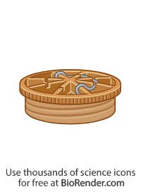 Free Cell culture flask (T25) Icons, Symbols & Images | BioRender