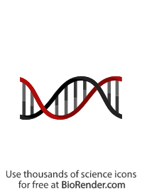 Free Graph of PCR stages relative to temperature Icons, Symbols ...
