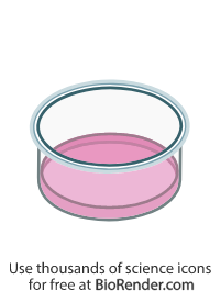 Free Well plate (96 wells, 3D) Icons, Symbols & Images | BioRender