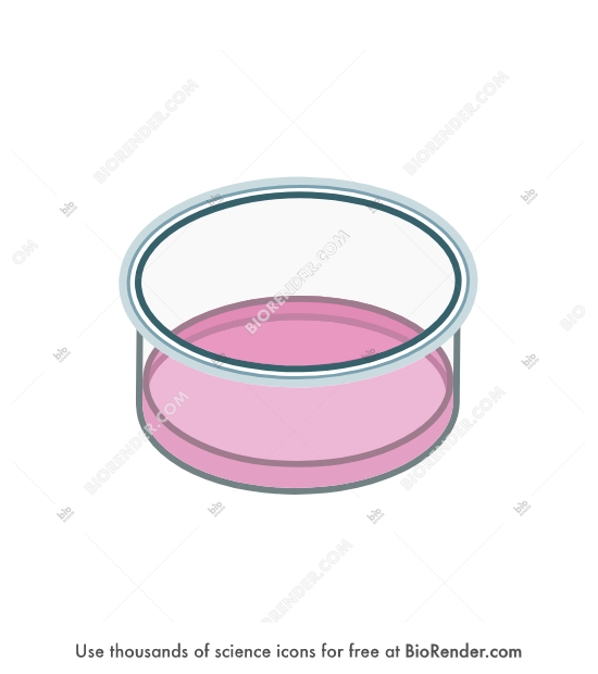 Free Cell culture well Icons, Symbols & Images | BioRender