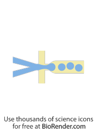 Free Microfluidic device (single cell sequencing 2) Icons, Symbols ...