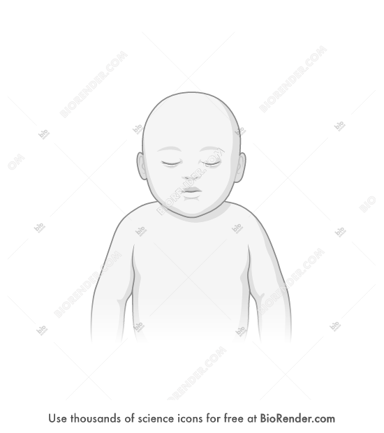Free Baby (newborn, upper body, anterior) Icons, Symbols & Images ...