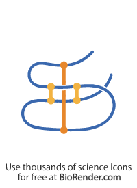 Free Cystine knot peptide Icons, Symbols & Images | BioRender