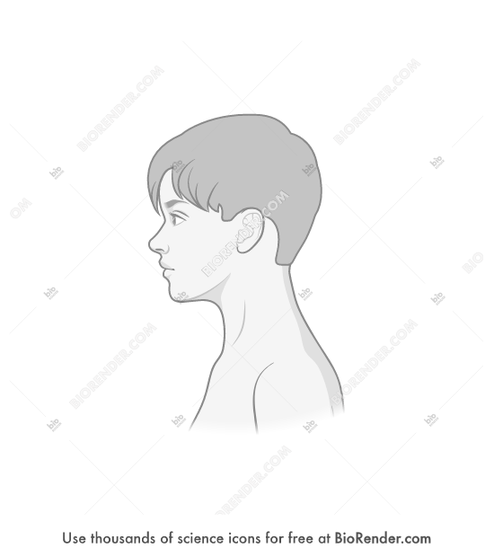 Free Adolescent gender-neutral head (lateral, eyes open) Icons, Symbols ...