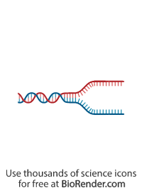 Free DNA (long) Icons, Symbols & Images | BioRender