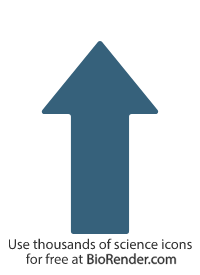 Free Straight arrow (symbol) Icons, Symbols & Images | BioRender