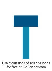 Free Nucleotide (single) Icons, Symbols & Images | BioRender