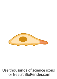 Free Cell imaging (fluorescent dye) Icons, Symbols & Images | BioRender