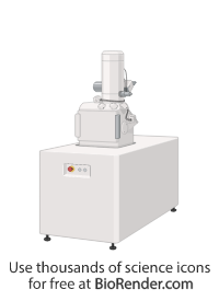 Free Scanning electron microscope Icons, Symbols & Images | BioRender